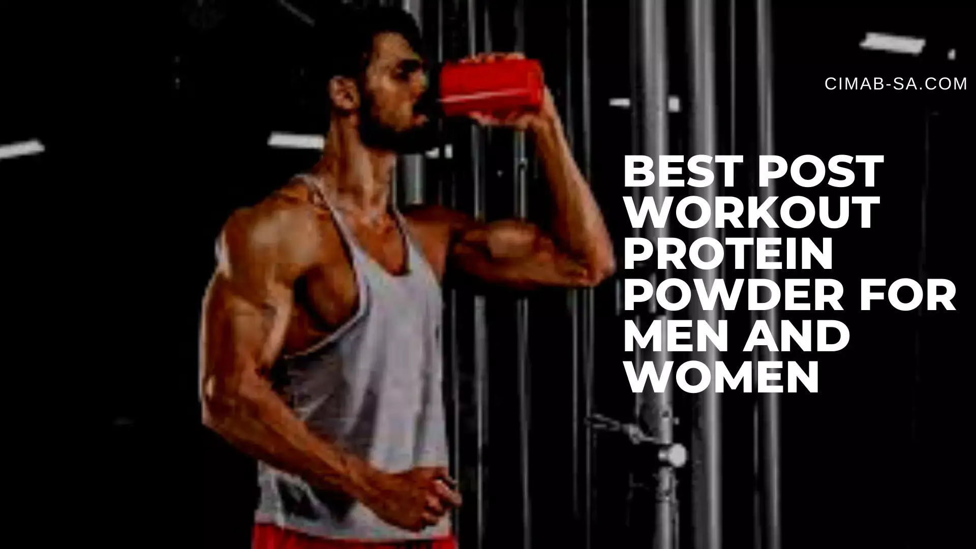Best Post Workout Protein Powder For Men And Women 2022 For Ultimate
